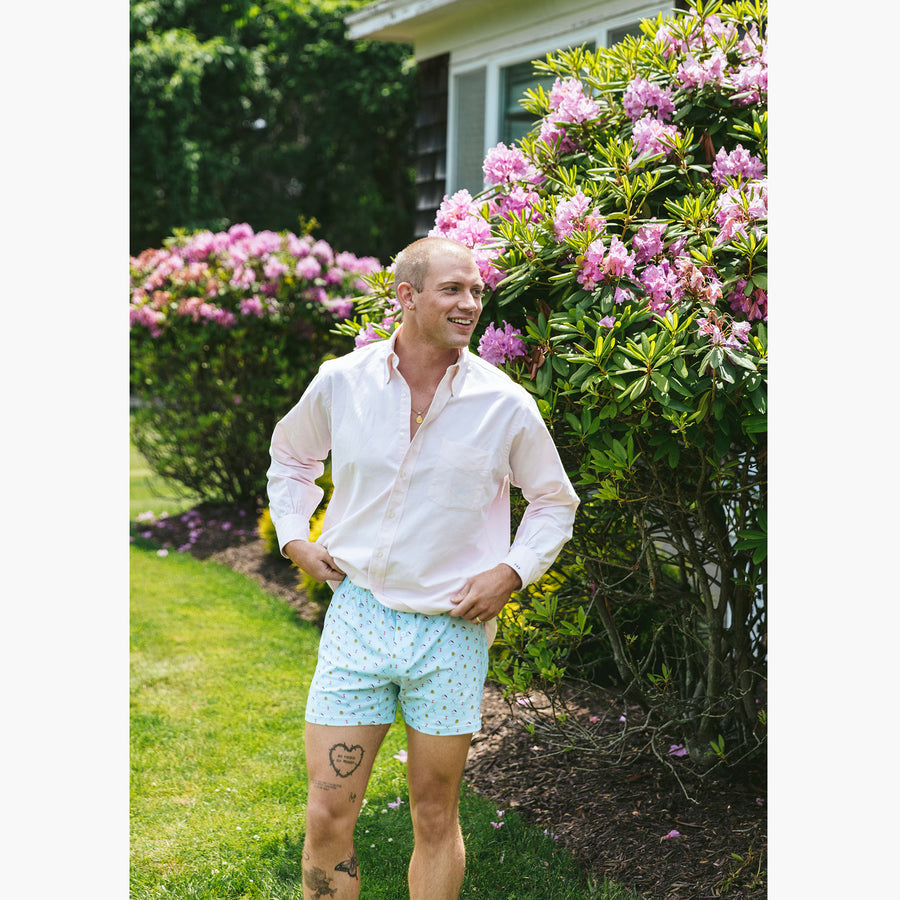 Slim Fit Boxers ~ Doghouse 3 Pack – Nice Laundry