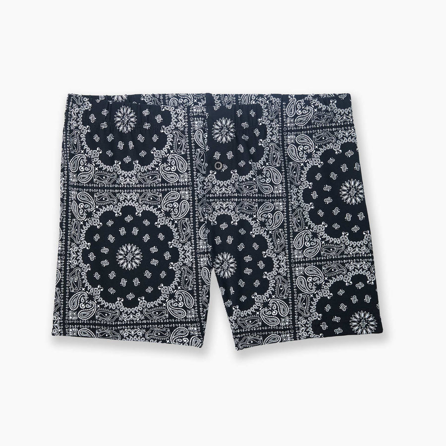Slim Fit Boxer ~ Bandana – Nice Laundry